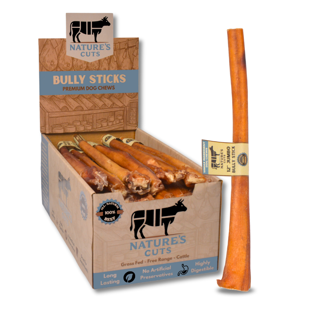 12" Jumbo Bully Sticks Display Box – Mighty Chewz