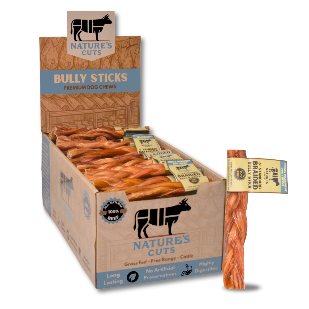 6" Standard Braided Bully Sticks Display Box – Mighty Chewz